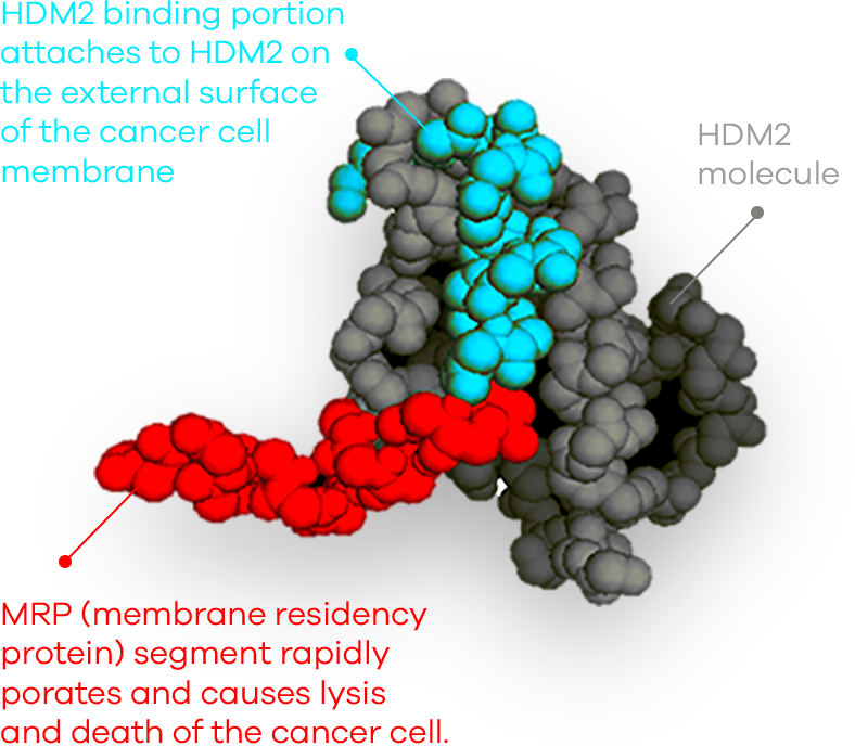 Treating cancer by exploding cancer cells | Oncolyze